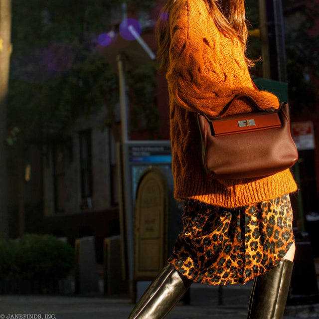 Hermès Birkin 25 Mykonos Lizard Palladium Hardware – JaneFinds