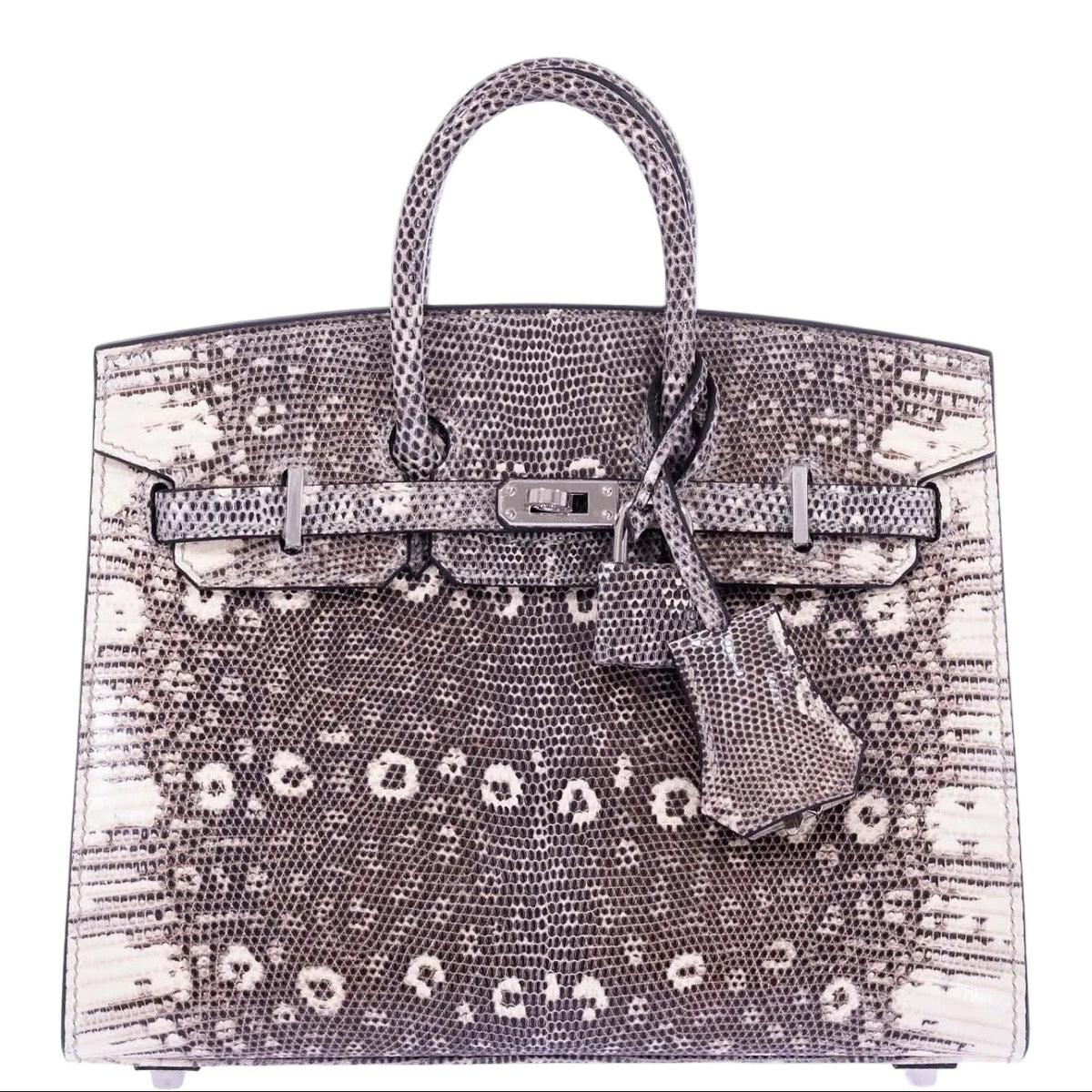 Hermès Birkin Bags for Sale – Authentic Luxury Icons | JaneFinds ...