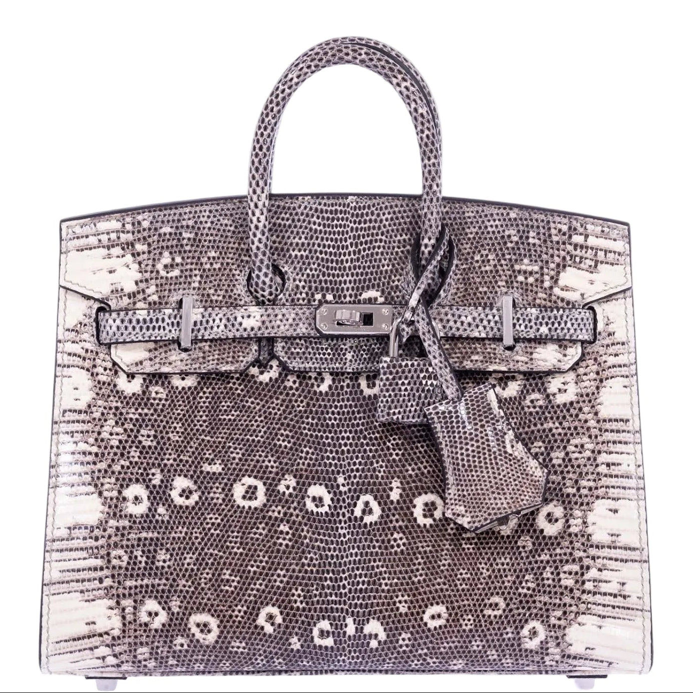 Hermès Birkin 20 Sellier Ombré Varanus Salvator Lizard Palladium Hardw ...