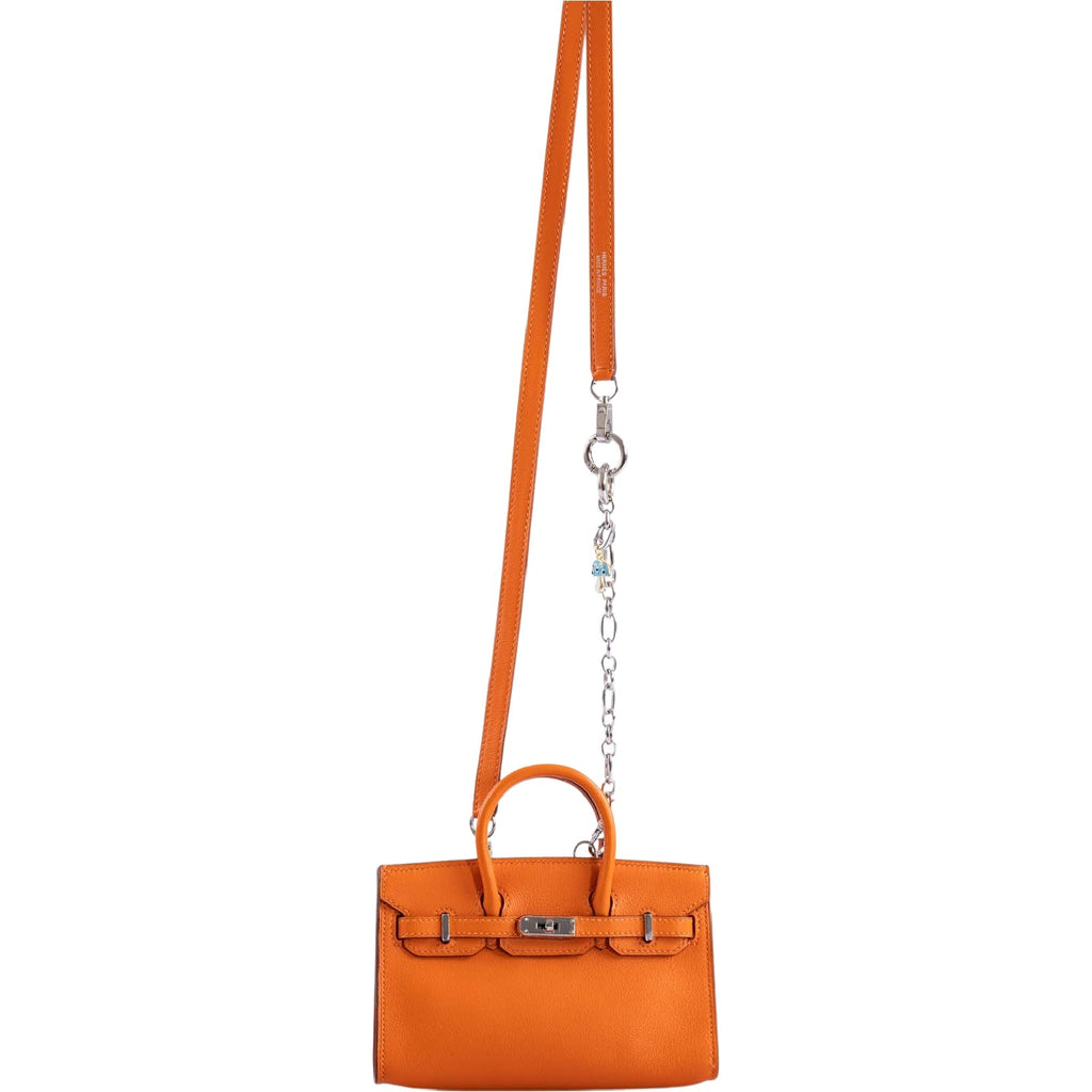 Hermès Birkin 15 Micro Orange Swift with Palladium Hardware – JaneFinds